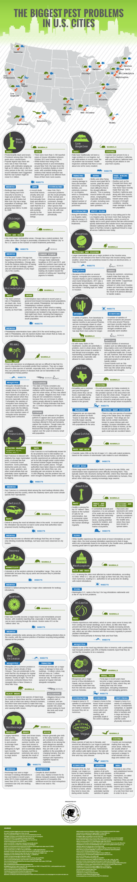 The Biggest Pest Problems in Major U.S. Cities | ABC Humane Wildlife ...